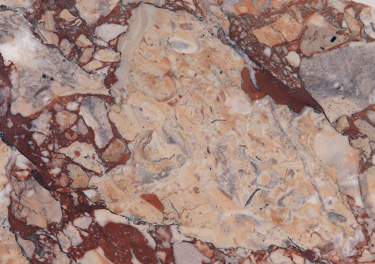Breccia Colorata - AG Marbles & Granite